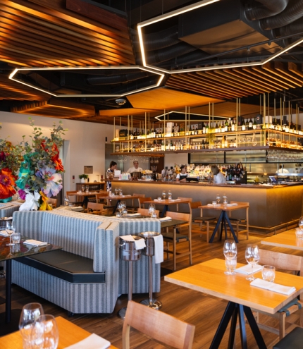 Things To Do On The Gold Coast | Whats On On The Gold Coast | Must Do ...