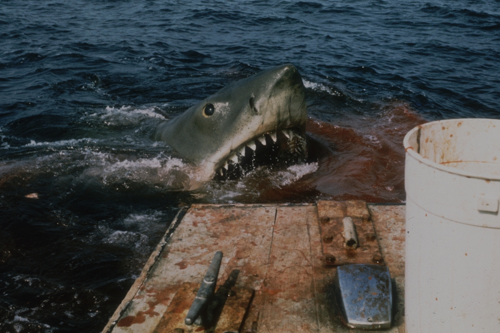 Jaws In Concert Concert Hall Qpac | Must Do Gold Coast