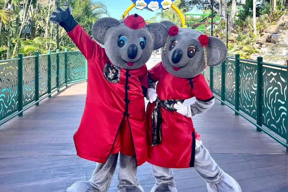 Lunar New Year At Dreamworld Night Market Coomera | Must Do Gold Coast