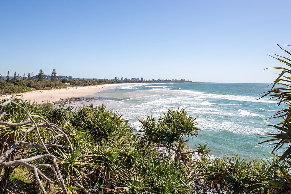 Fingal Head - Dreamtime Beach Walk | Must Do Gold Coast