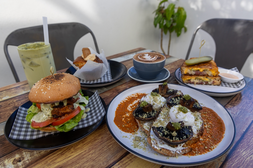 Milk Money Espresso Robina | Must Do Gold Coast
